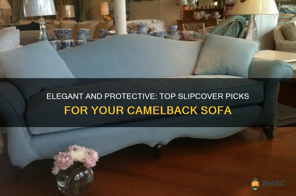 Elegant And Protective: Top Slipcover Picks For Your Camelback Sofa | Riosc