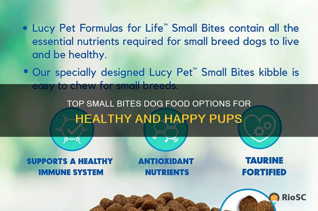 Top Small Bites Dog Food Options For Healthy And Happy Pups | Riosc