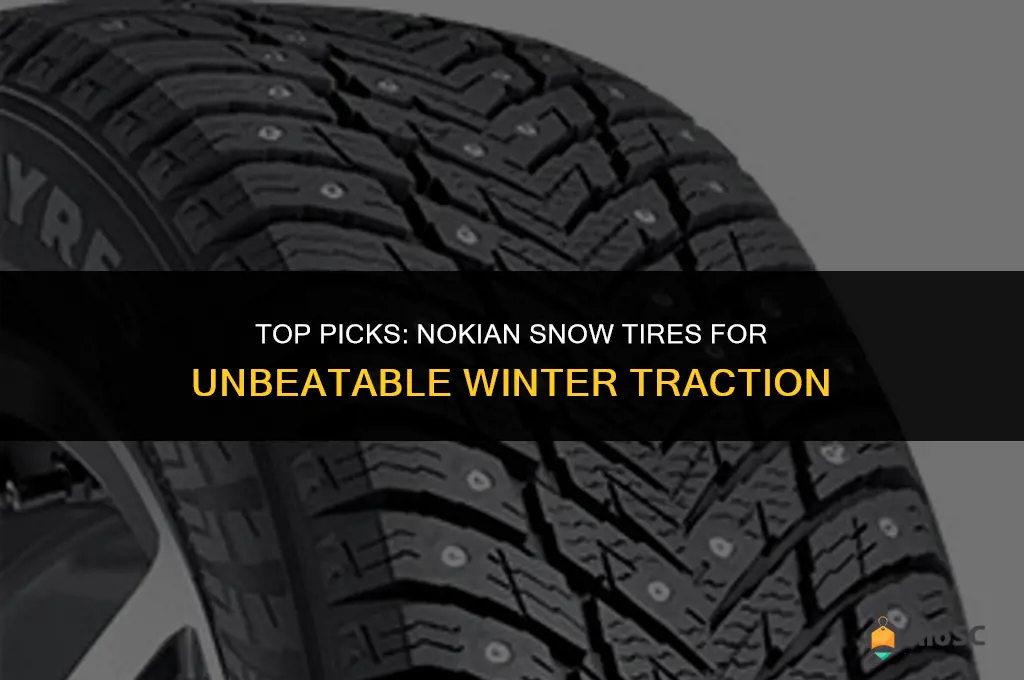 Top Picks: Nokian Snow Tires For Unbeatable Winter Traction | Riosc