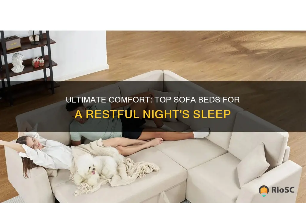 Ultimate Comfort: Top Sofa Beds For A Restful Night's Sleep | Riosc