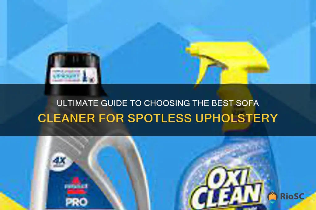 Ultimate Guide To Choosing The Best Sofa Cleaner For Spotless ...