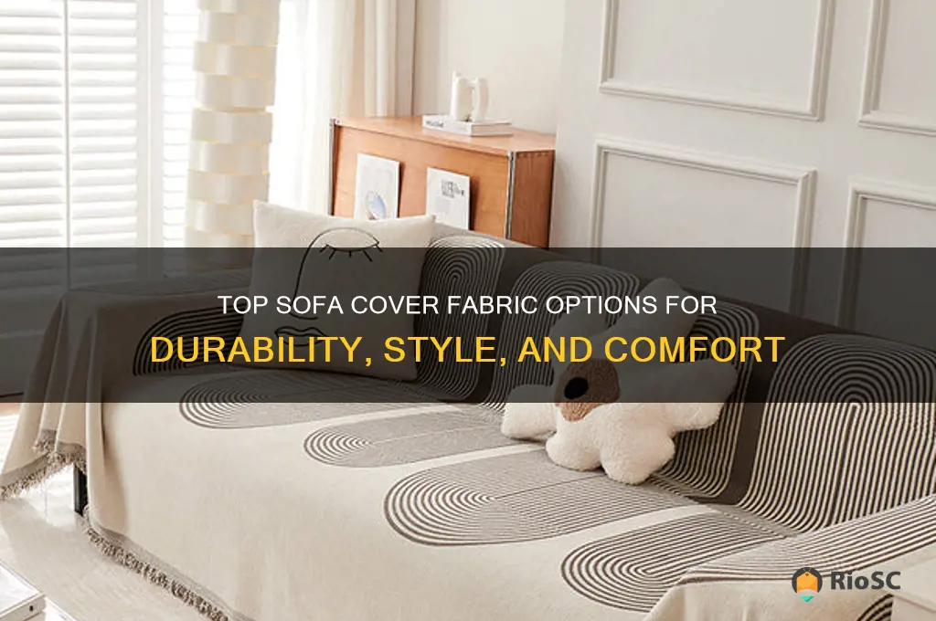Top Sofa Cover Fabric Options For Durability, Style, And Comfort | Riosc