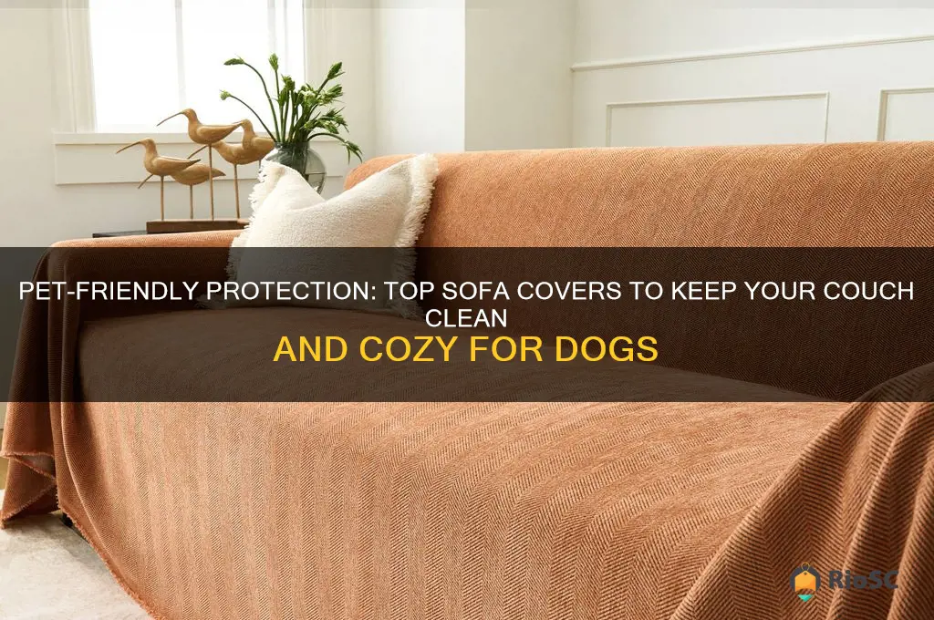 Pet-Friendly Protection: Top Sofa Covers To Keep Your Couch Clean And ...