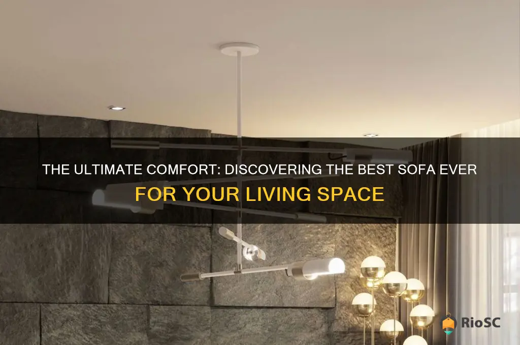 The Ultimate Comfort: Discovering The Best Sofa Ever For Your Living ...