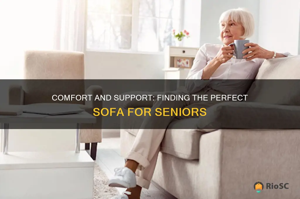 Comfort And Support: Finding The Perfect Sofa For Seniors | Riosc