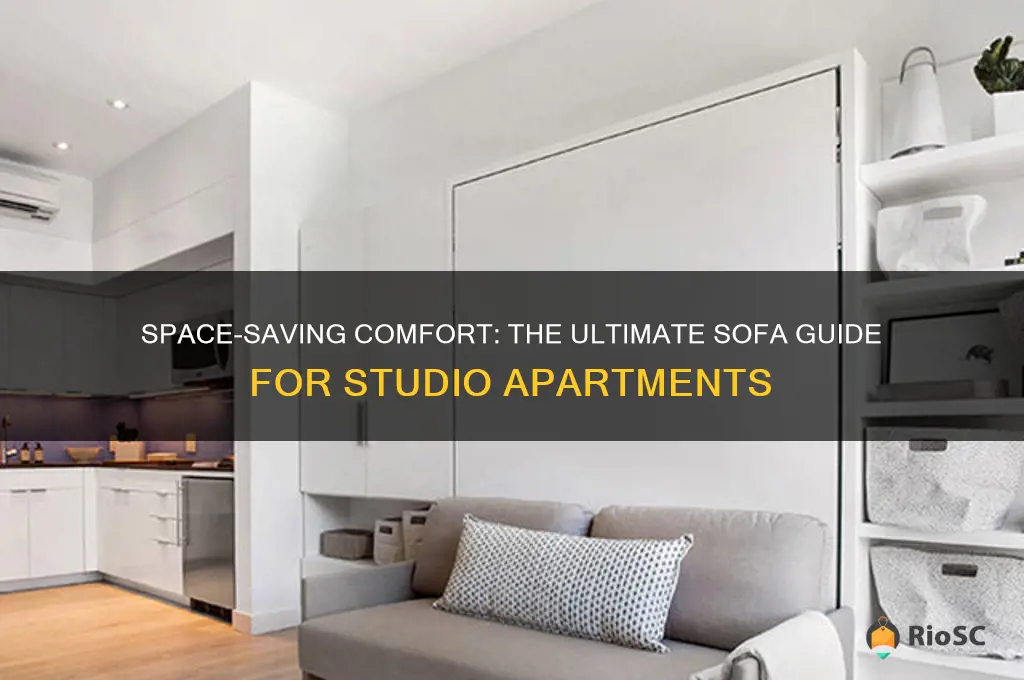 Space-Saving Comfort: The Ultimate Sofa Guide For Studio Apartments | Riosc