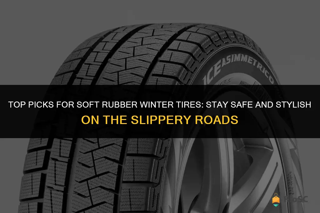 Top Picks For Soft Rubber Winter Tires: Stay Safe And Stylish On The ...