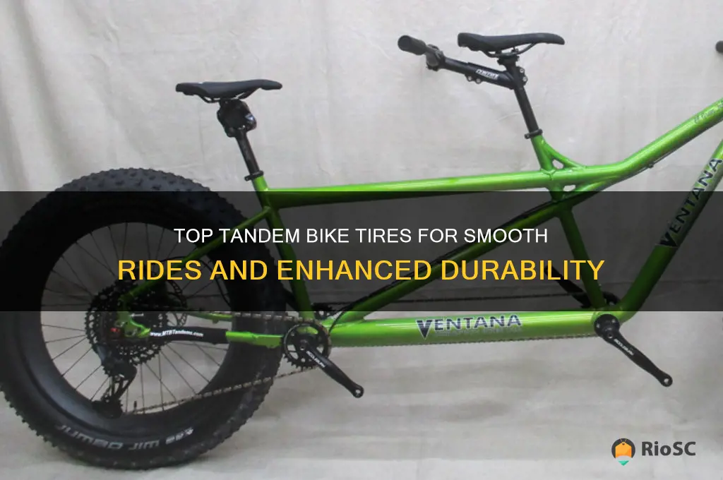 Top Tandem Bike Tires For Smooth Rides And Enhanced Durability | Riosc