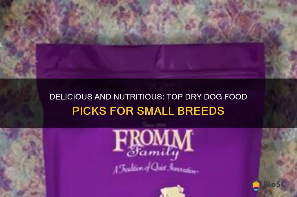 Delicious And Nutritious: Top Dry Dog Food Picks For Small Breeds | Riosc