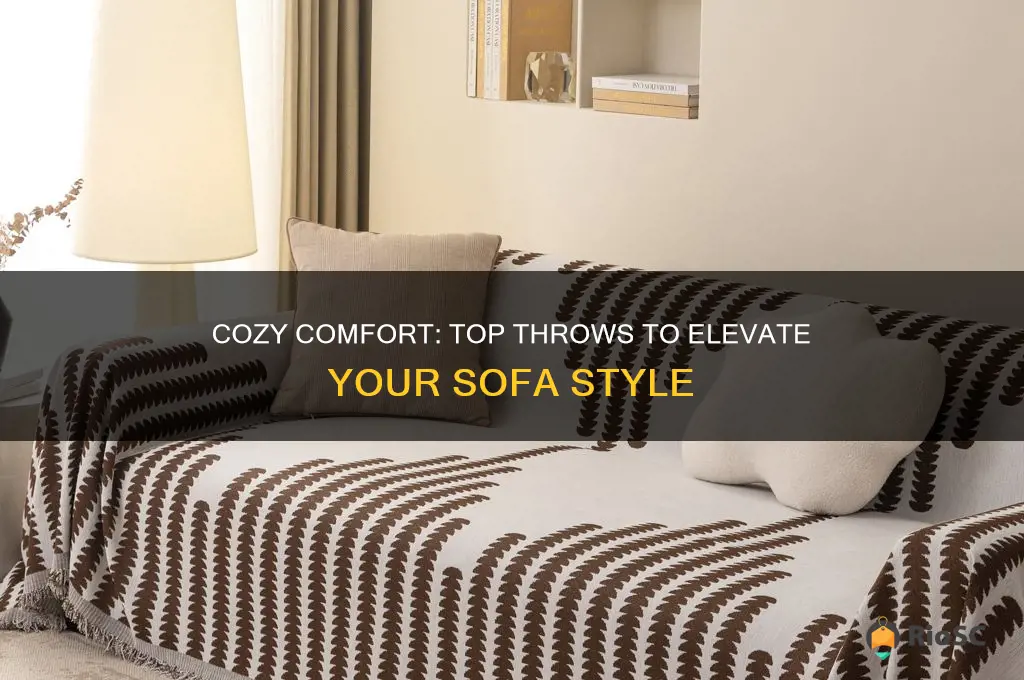 Cozy Comfort: Top Throws To Elevate Your Sofa Style | Riosc