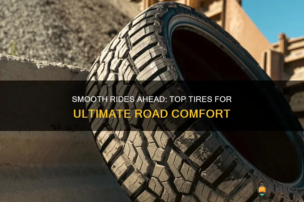 Smooth Rides Ahead: Top Tires For Ultimate Road Comfort | Riosc