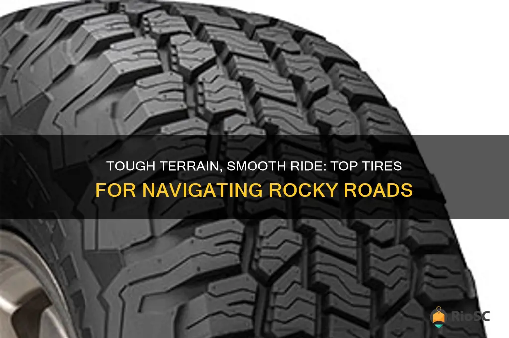 Tough Terrain, Smooth Ride: Top Tires For Navigating Rocky Roads | Riosc