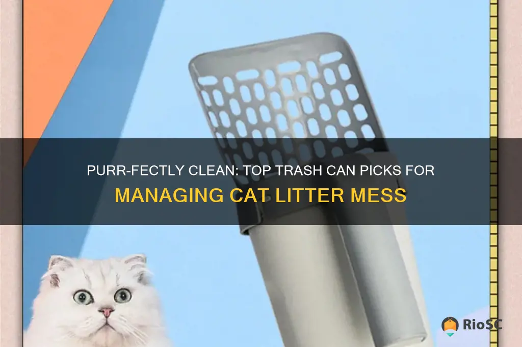 Purr-Fectly Clean: Top Trash Can Picks For Managing Cat Litter Mess | Riosc