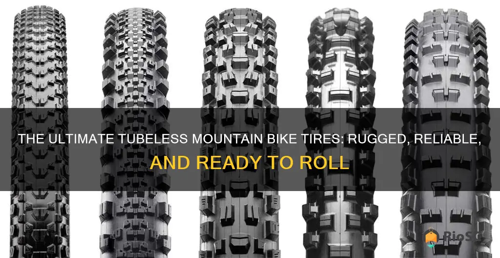 The Ultimate Tubeless Mountain Bike Tires: Rugged, Reliable, And Ready ...