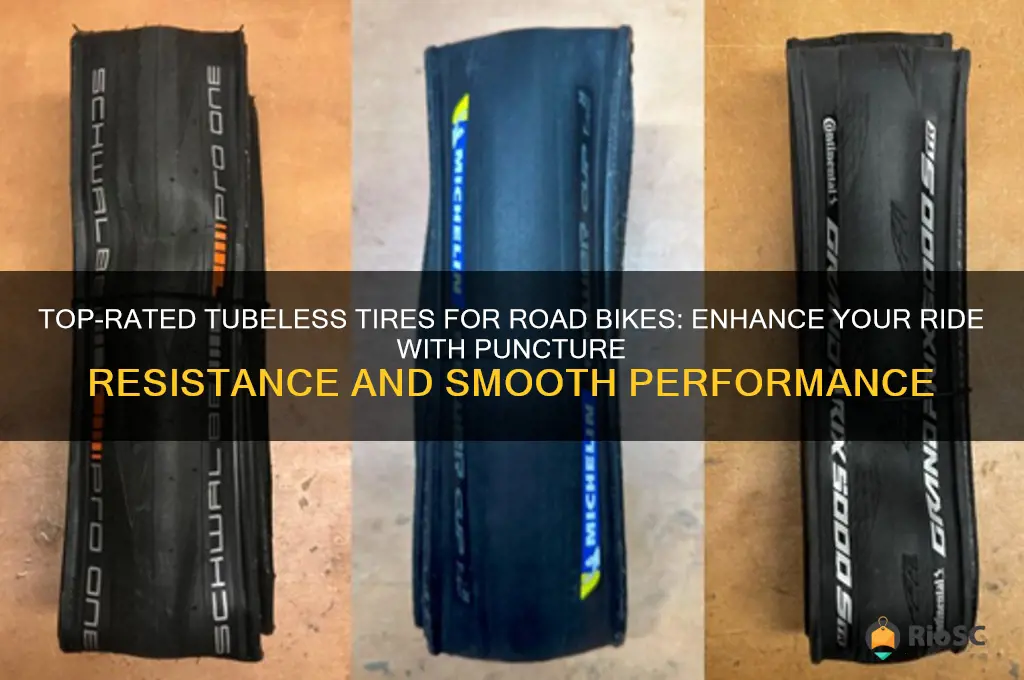 Top-Rated Tubeless Tires For Road Bikes: Enhance Your Ride With ...