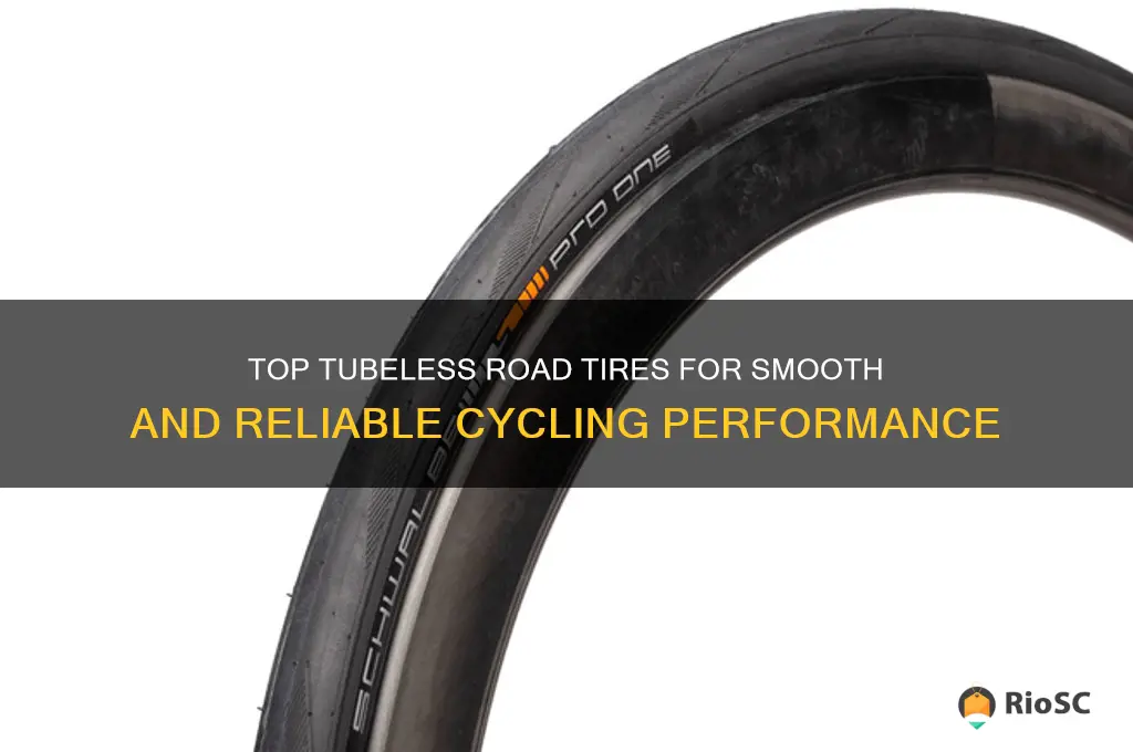 Top Tubeless Road Tires For Smooth And Reliable Cycling Performance | Riosc