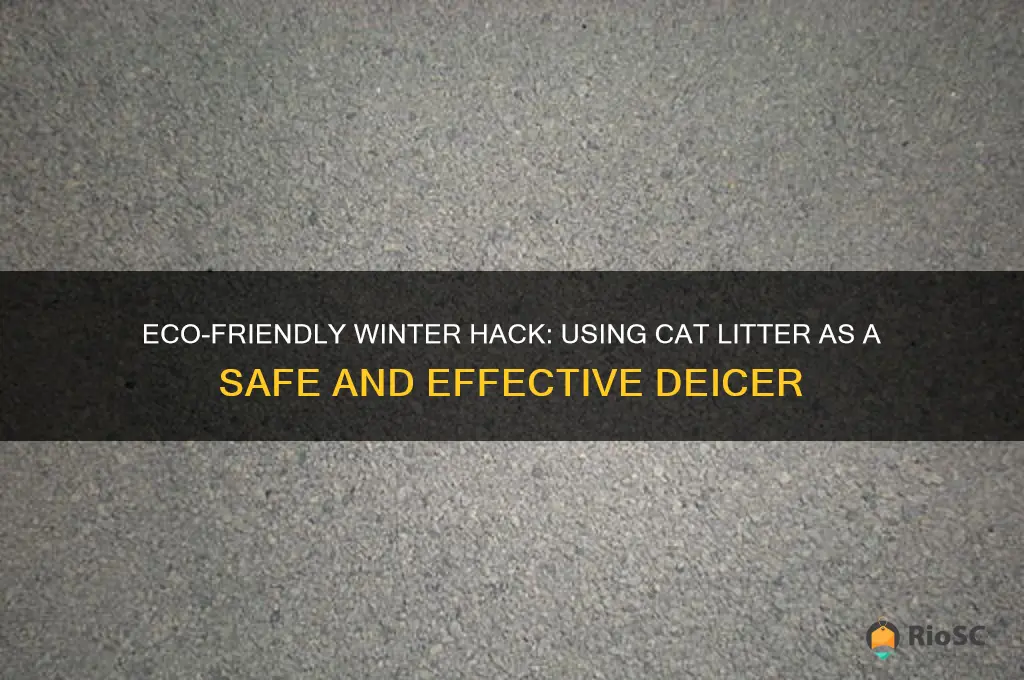 Eco-Friendly Winter Hack: Using Cat Litter As A Safe And Effective ...