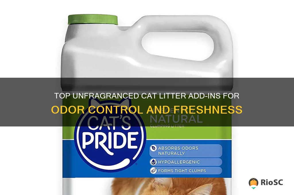 Top Unfragranced Cat Litter Add-Ins For Odor Control And Freshness | Riosc