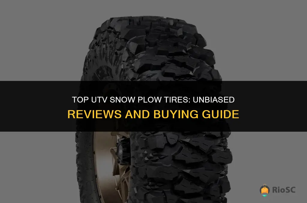 Top Utv Snow Plow Tires: Unbiased Reviews And Buying Guide | Riosc