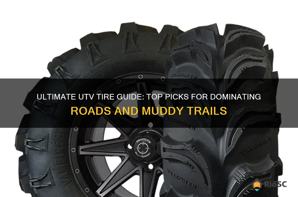 Ultimate Utv Tire Guide: Top Picks For Dominating Roads And Muddy ...