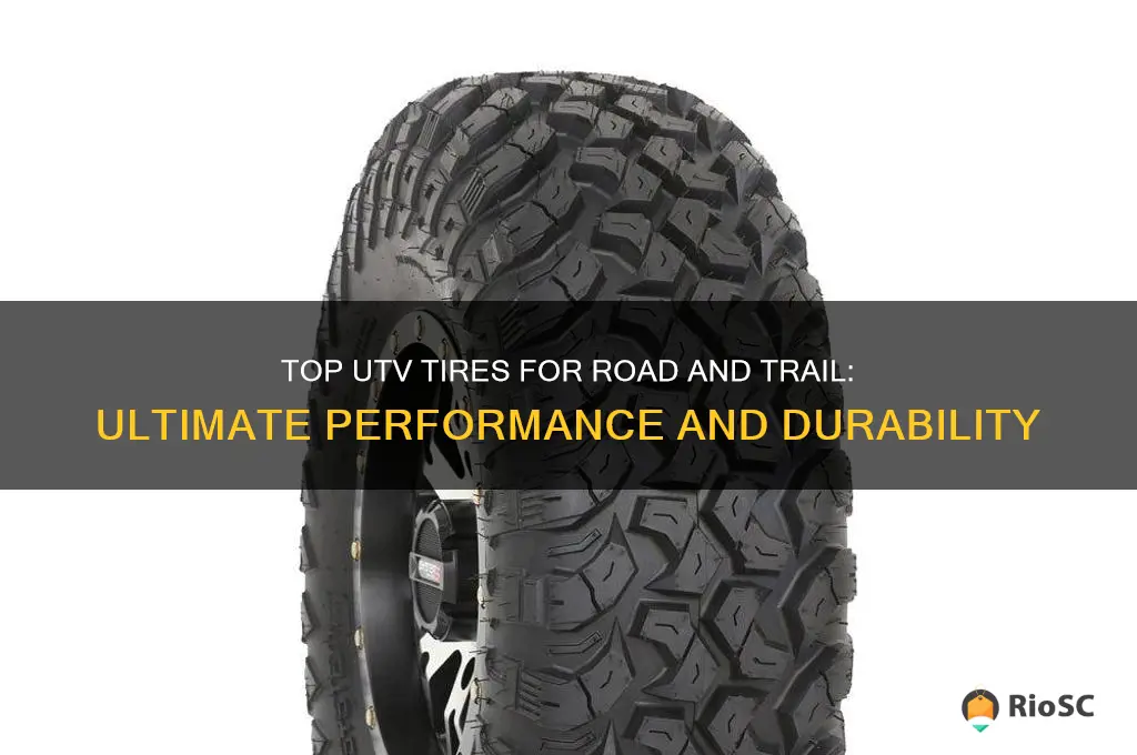 Top Utv Tires For Road And Trail: Ultimate Performance And Durability ...