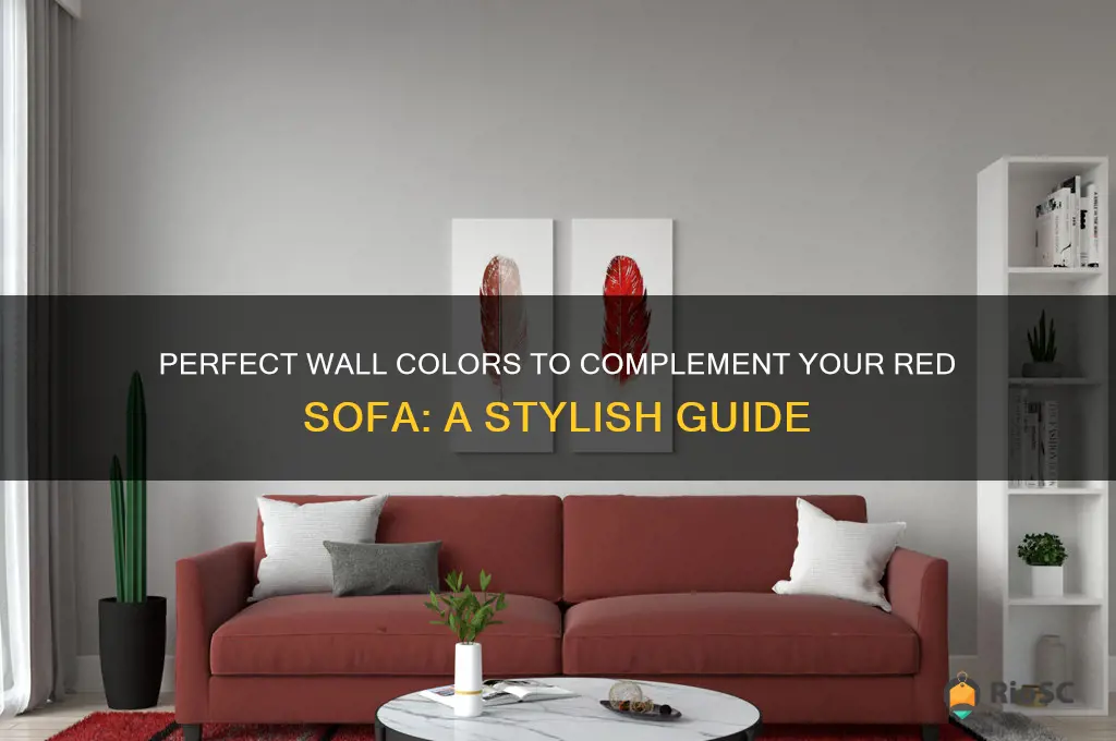 Perfect Wall Colors To Complement Your Red Sofa: A Stylish Guide | Riosc