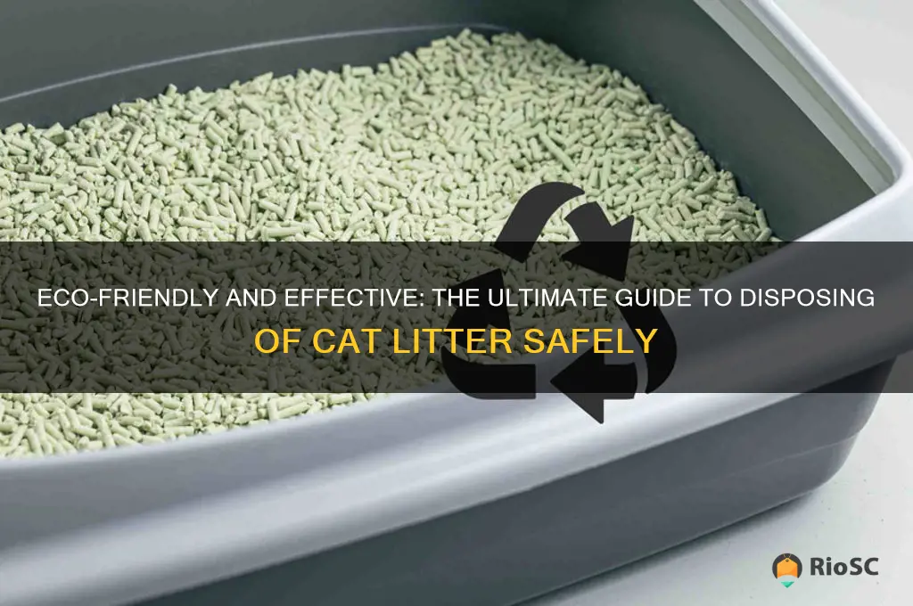 Eco-Friendly And Effective: The Ultimate Guide To Disposing Of Cat ...