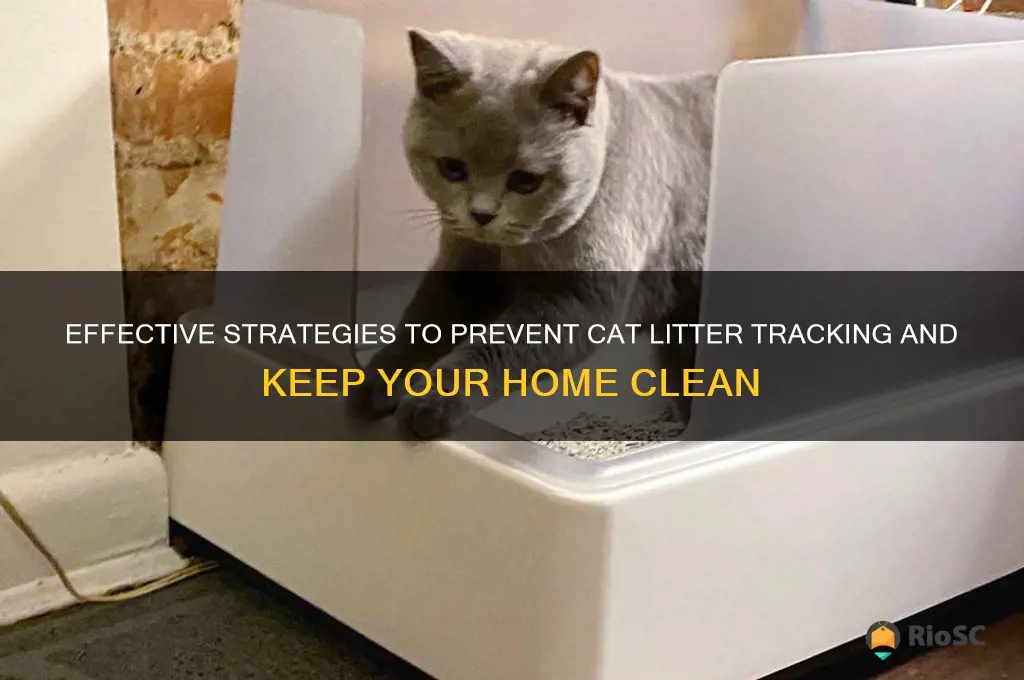 Effective Strategies To Prevent Cat Litter Tracking And Keep Your Home ...