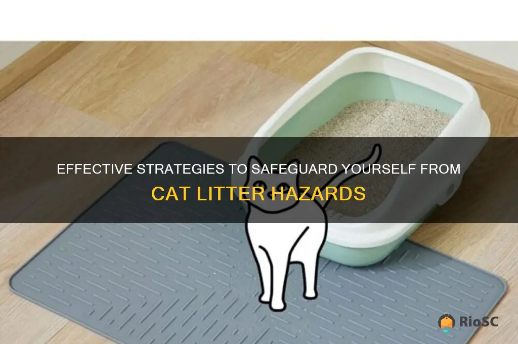 Effective Strategies To Safeguard Yourself From Cat Litter Hazards | Riosc