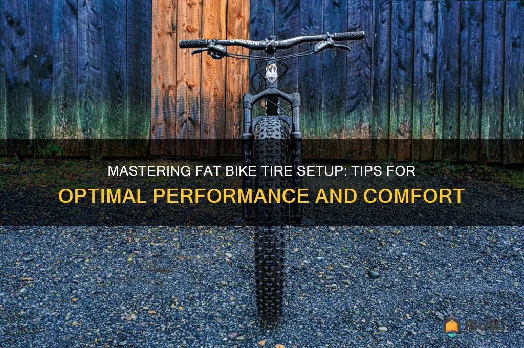 Mastering Fat Bike Tire Setup: Tips For Optimal Performance And Comfort ...