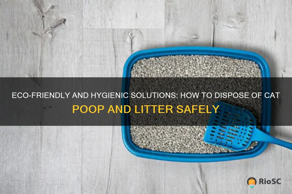 Eco-Friendly And Hygienic Solutions: How To Dispose Of Cat Poop And ...