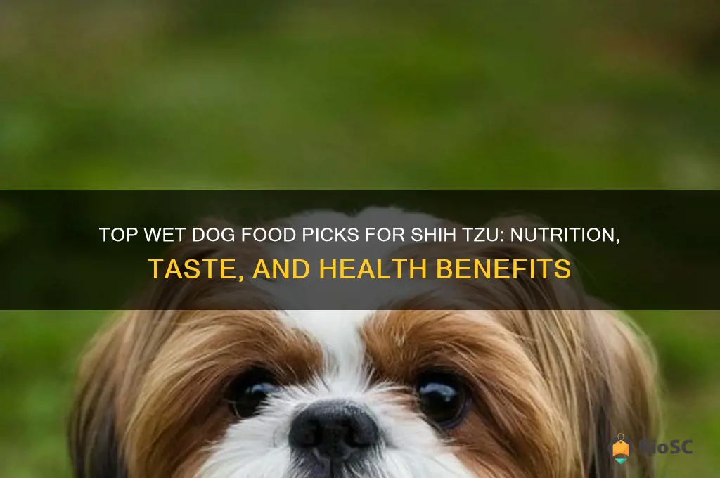 Top Wet Dog Food Picks For Shih Tzu: Nutrition, Taste, And Health ...