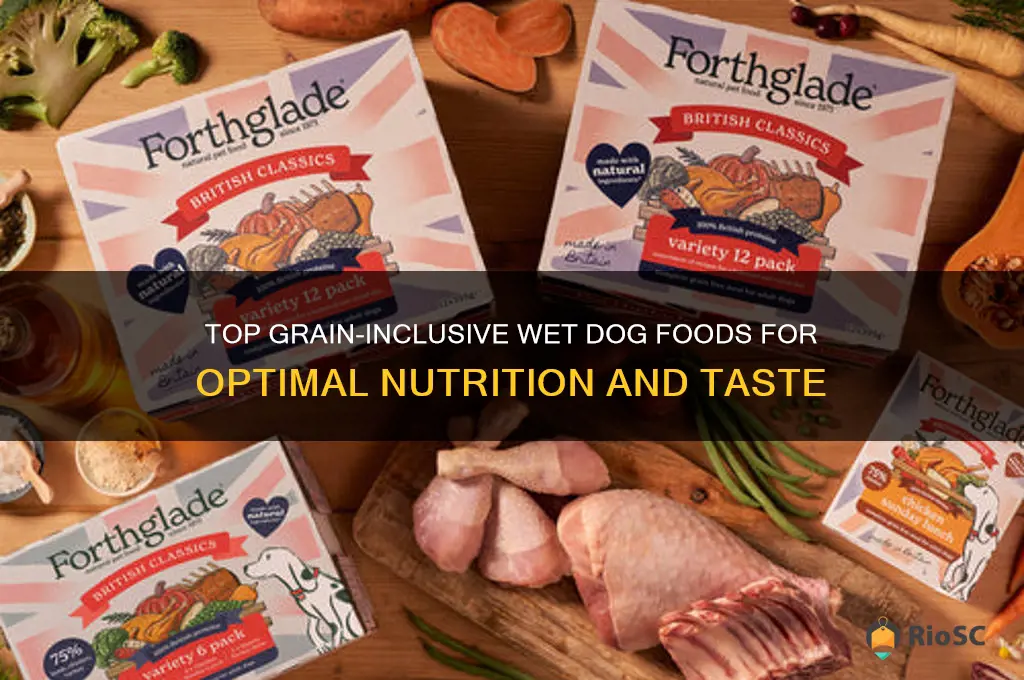 Top Grain-Inclusive Wet Dog Foods For Optimal Nutrition And Taste | Riosc