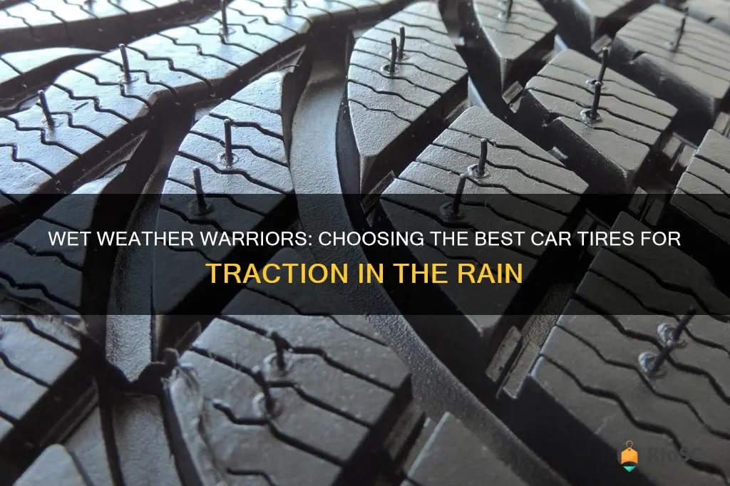 Wet Weather Warriors: Choosing The Best Car Tires For Traction In The ...