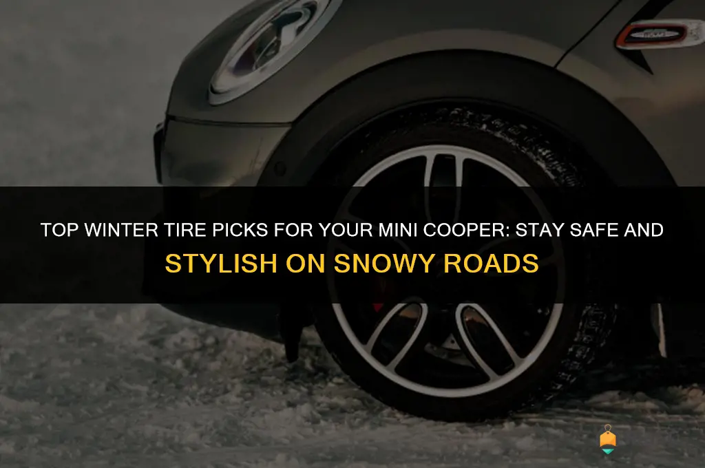Tires For A Mini Cooper