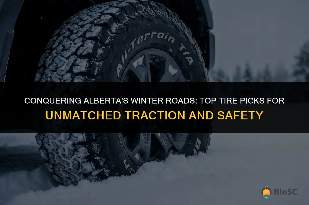Conquering Alberta's Winter Roads: Top Tire Picks For Unmatched ...