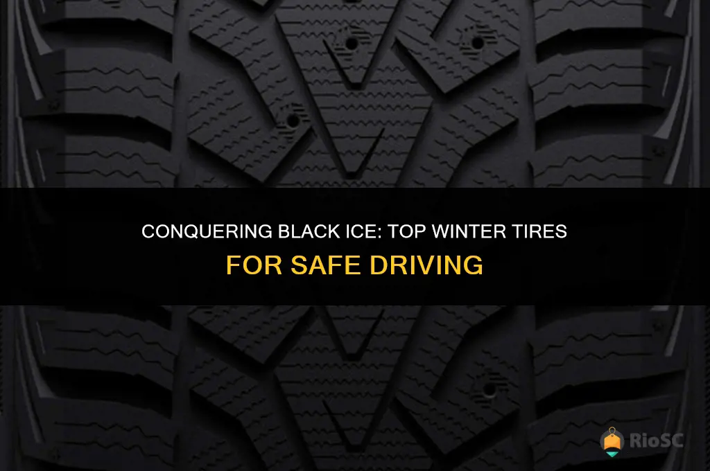 Conquering Black Ice: Top Winter Tires For Safe Driving | Riosc