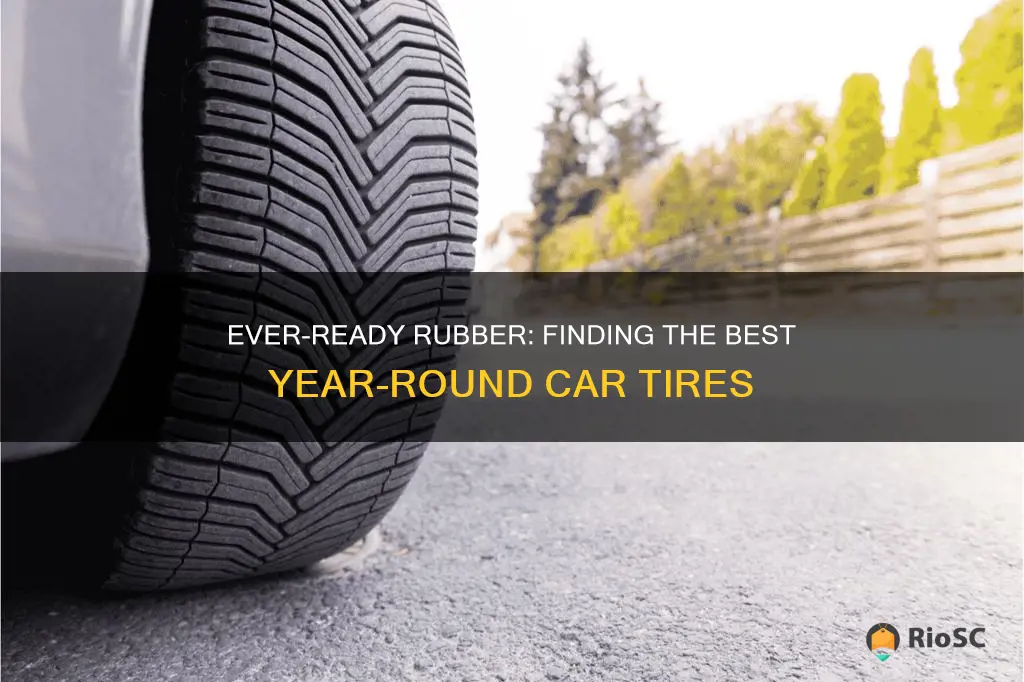 Ever-Ready Rubber: Finding The Best Year-Round Car Tires | Riosc