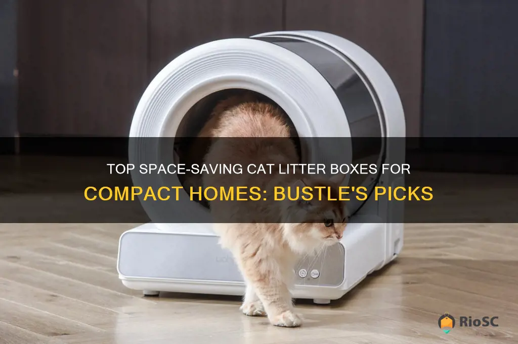 Top Space-Saving Cat Litter Boxes For Compact Homes: Bustle's Picks | Riosc