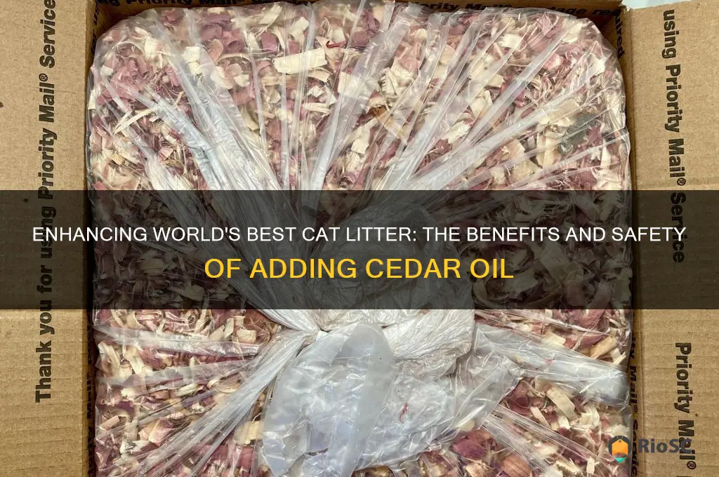 Enhancing World's Best Cat Litter: The Benefits And Safety Of Adding ...