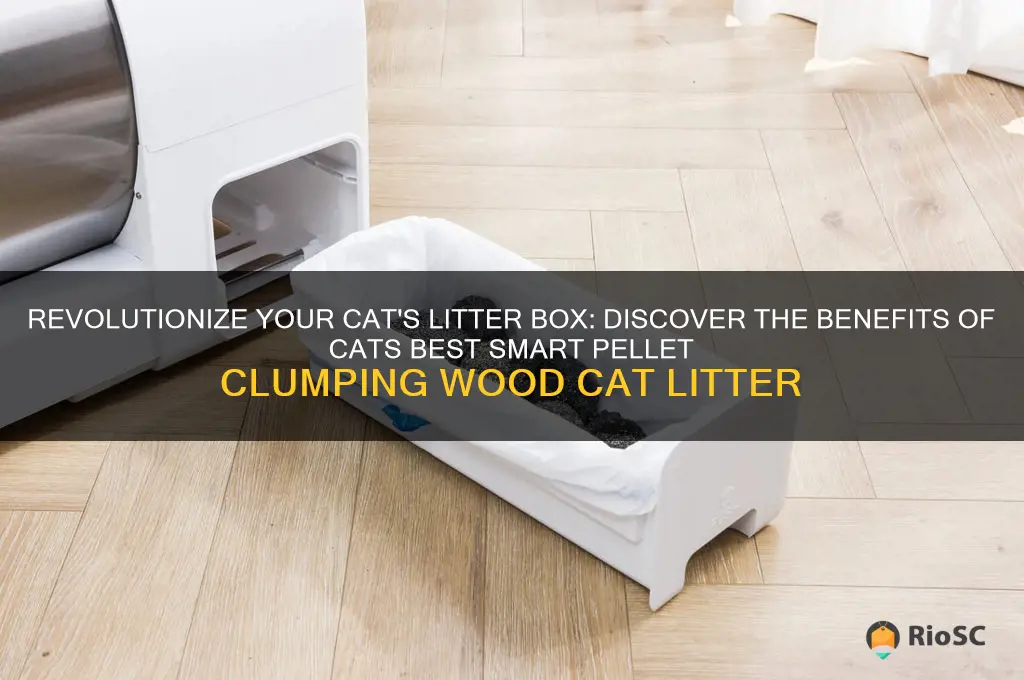 Revolutionize Your Cat's Litter Box: Discover The Benefits Of Cats Best ...