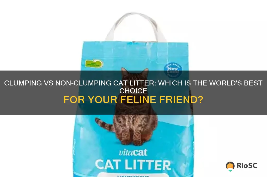 Clumping Vs Non-Clumping Cat Litter: Which Is The World's Best Choice ...