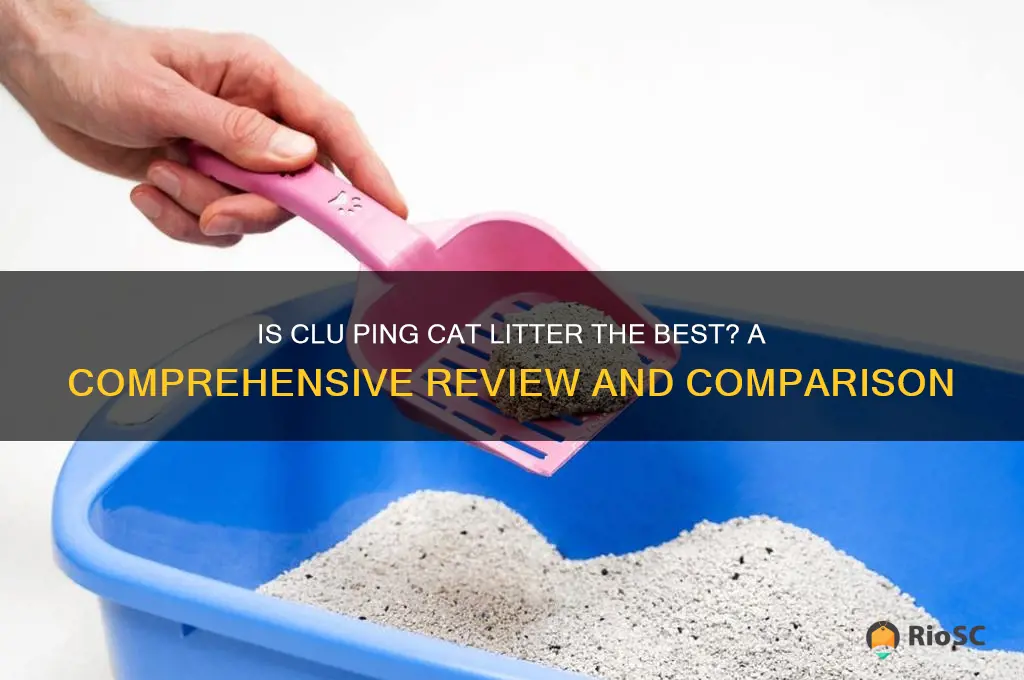 Is Clu Ping Cat Litter The Best? A Comprehensive Review And Comparison ...