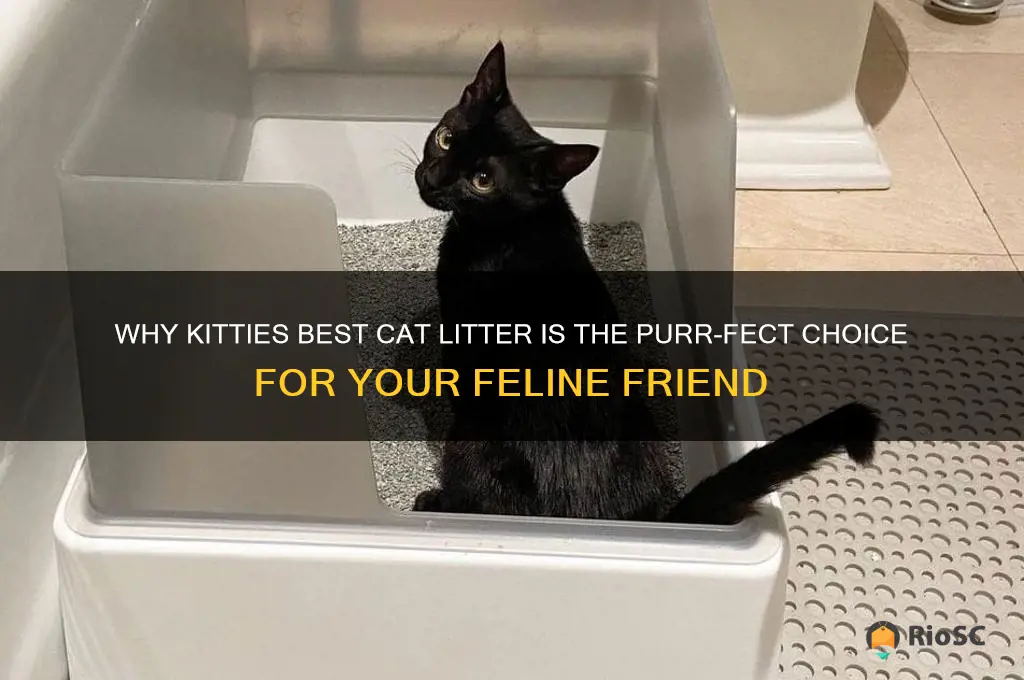 Why Kitties Best Cat Litter Is The Purr-Fect Choice For Your Feline ...