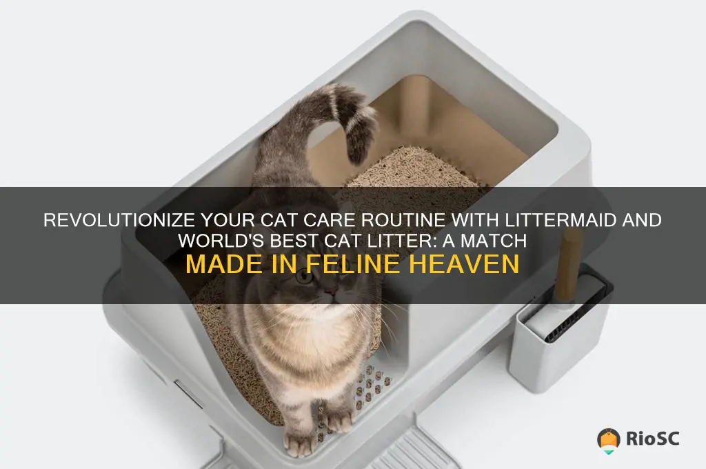 Revolutionize Your Cat Care Routine With Littermaid And World's Best ...