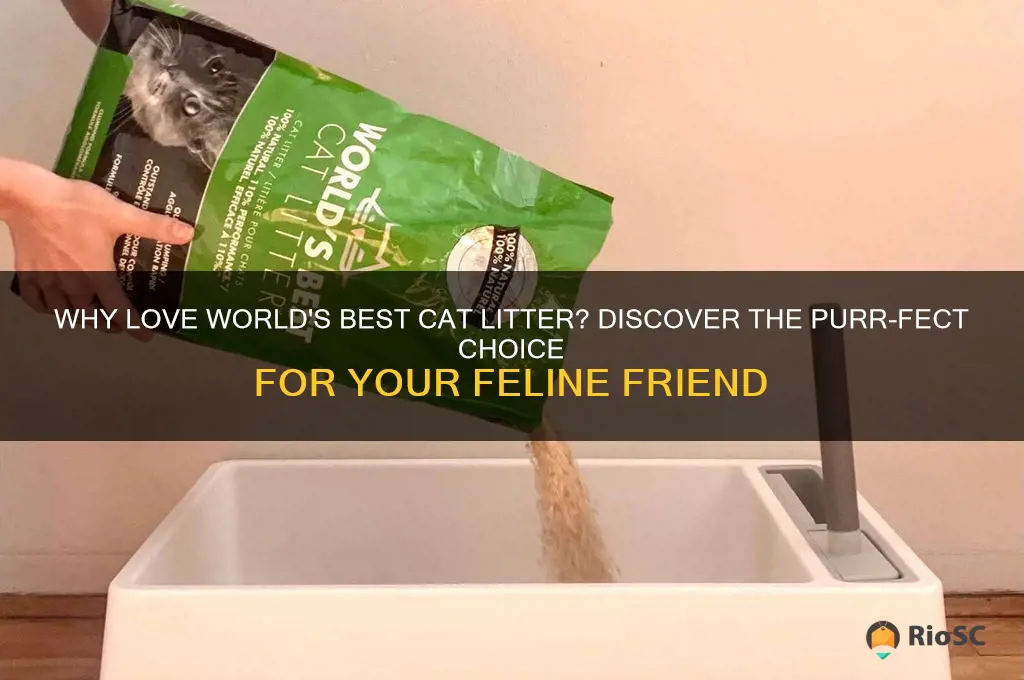 Why Love World's Best Cat Litter? Discover The Purr-Fect Choice For ...