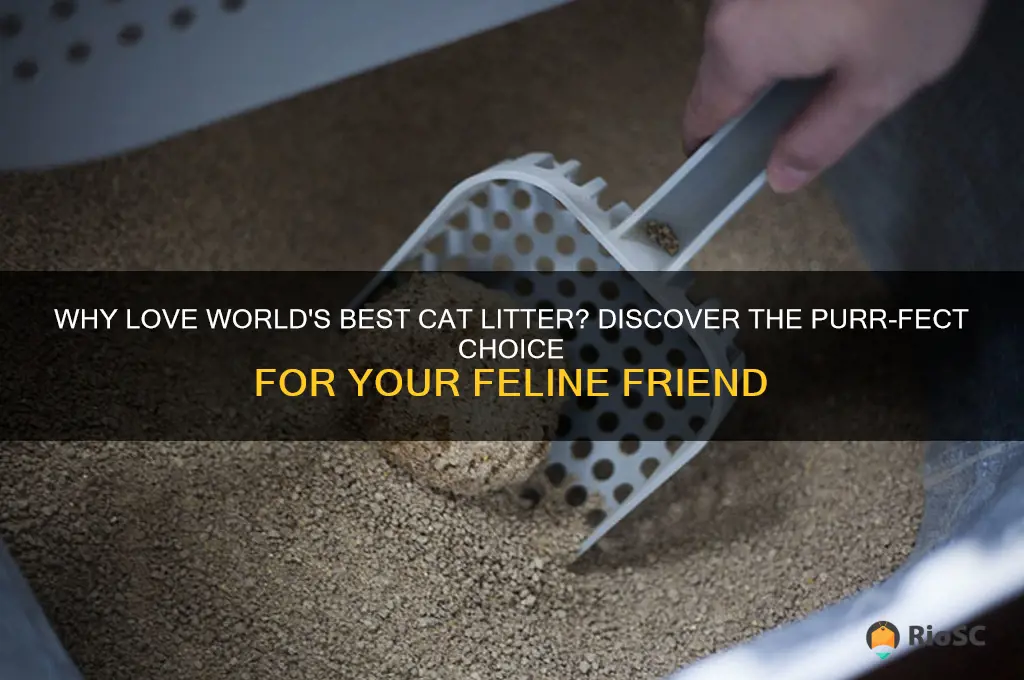 Why Love World's Best Cat Litter? Discover The Purr-Fect Choice For ...