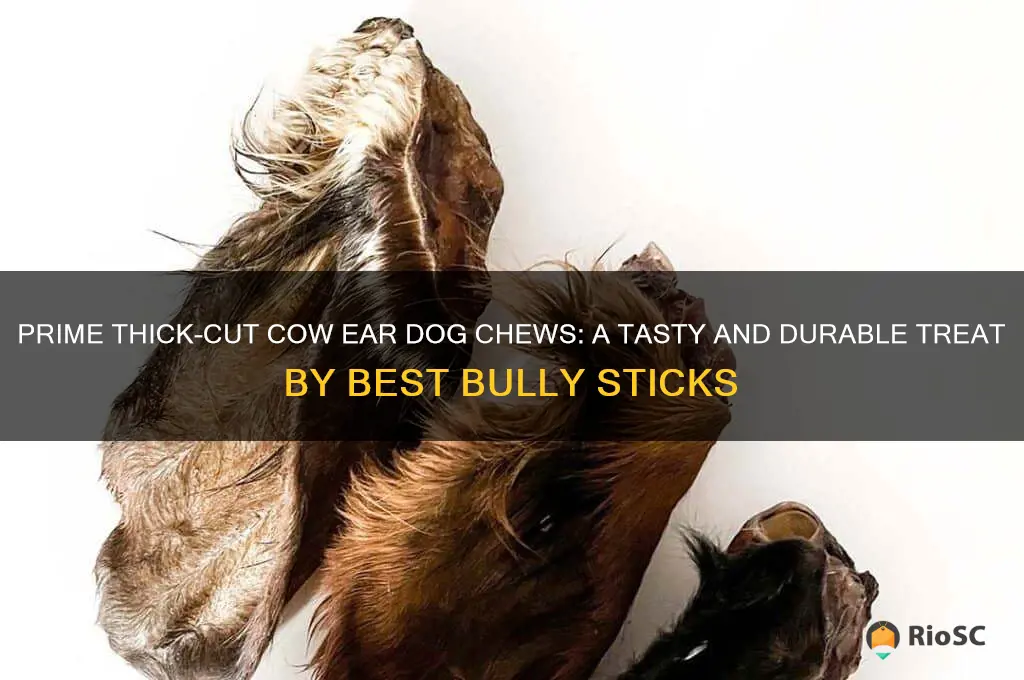 Prime Thick-Cut Cow Ear Dog Chews: A Tasty And Durable Treat By Best ...