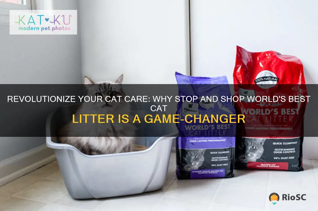 Revolutionize Your Cat Care: Why Stop And Shop World's Best Cat Litter ...