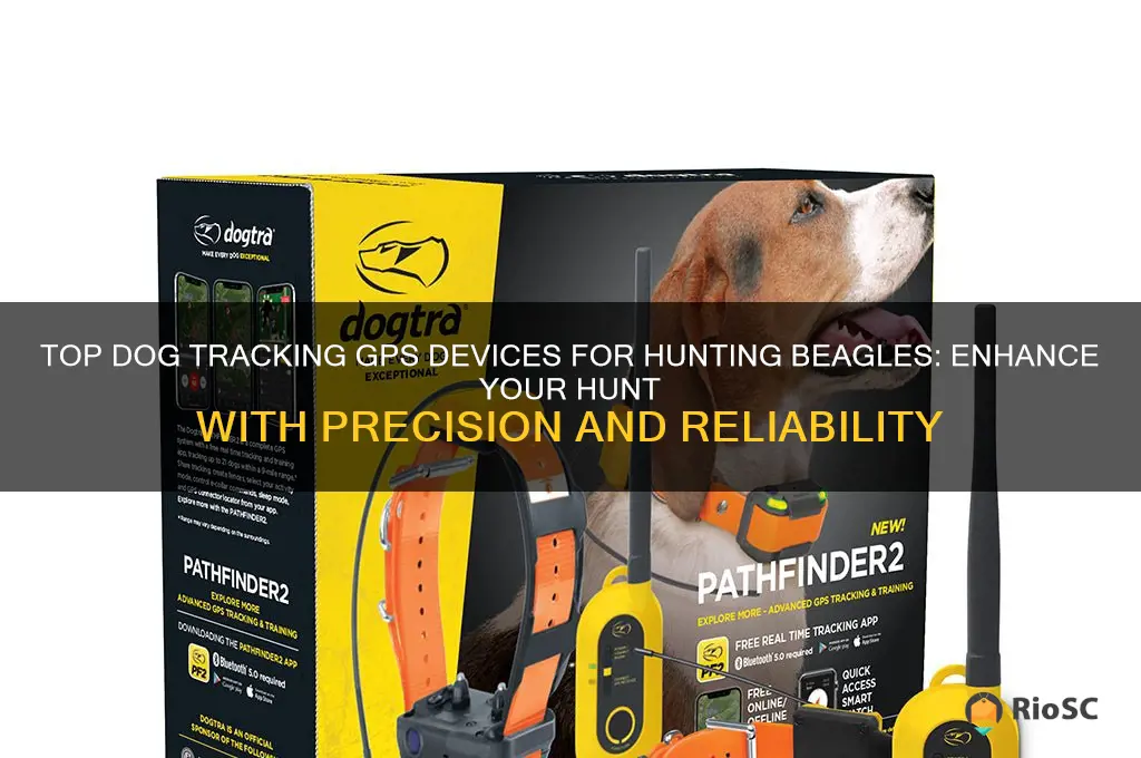 Top Dog Tracking Gps Devices For Hunting Beagles: Enhance Your Hunt ...